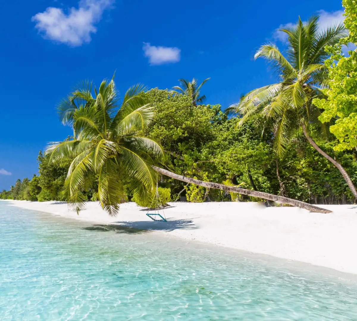 Seghe All Meals & FREE Certified Dive - Uepi Island Resort Package ...